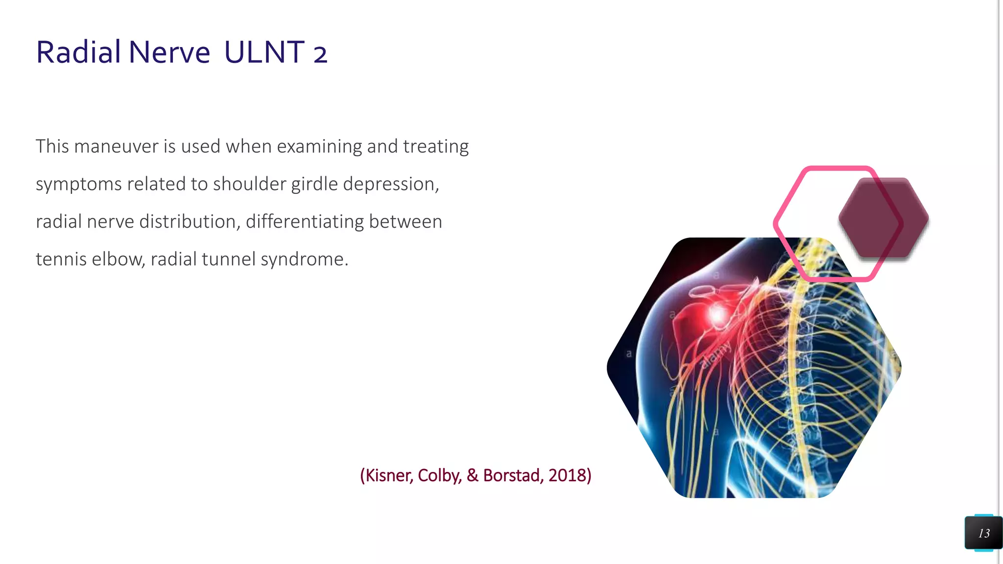 Neurodynamics | PPTX