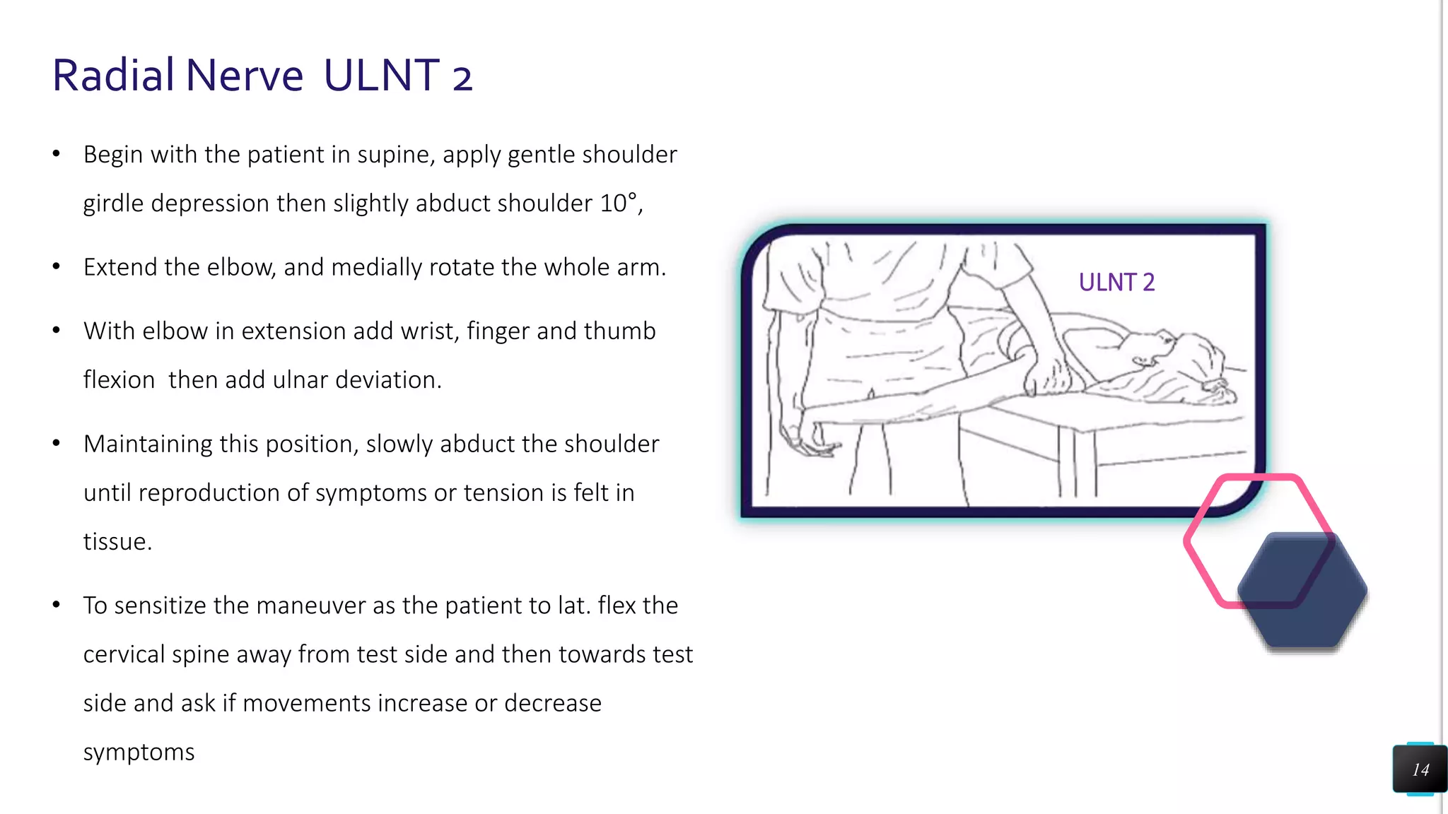 Neurodynamics | PPTX