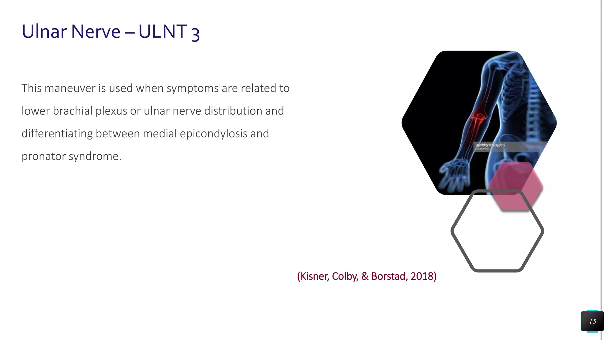 Neurodynamics | PPTX