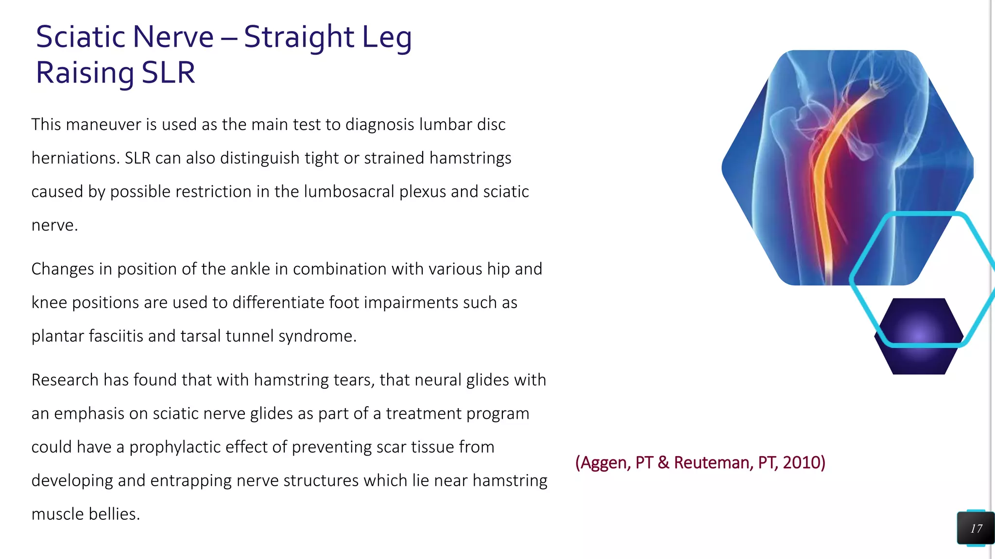 Neurodynamics | PPTX