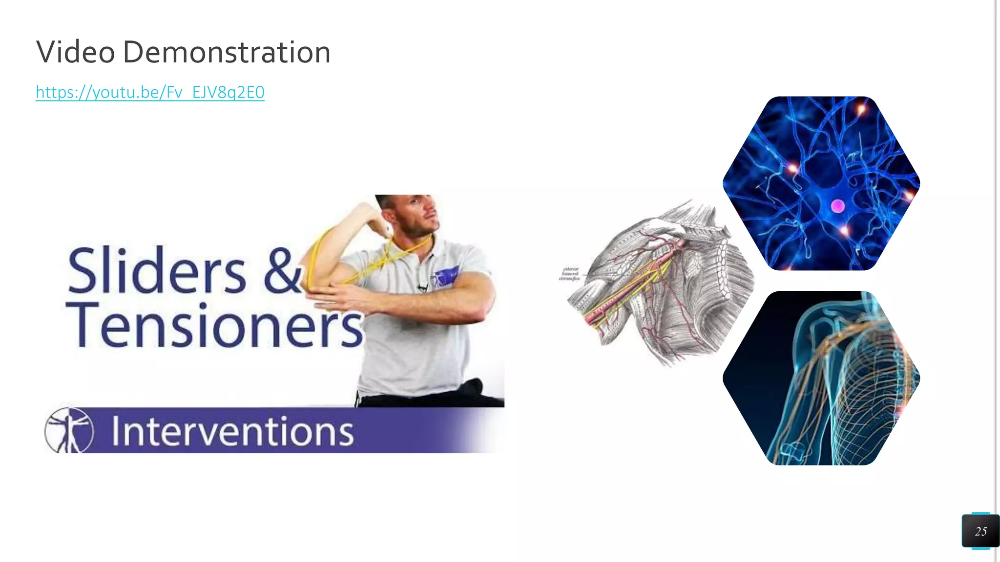 Neurodynamics | PPTX