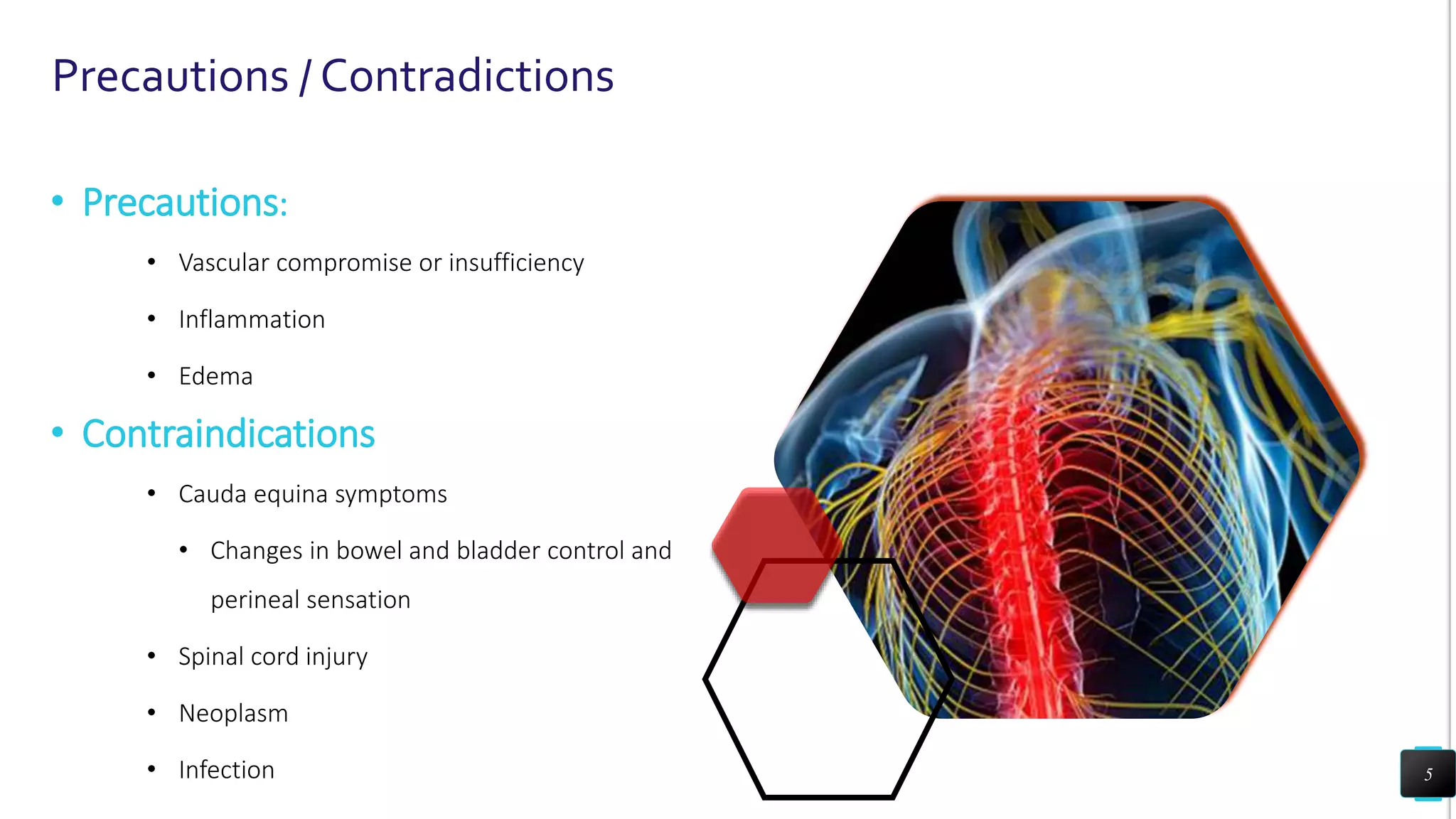 Neurodynamics | PPTX