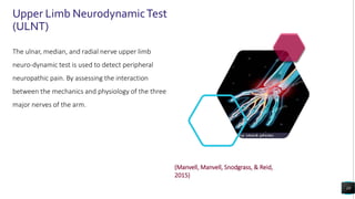 Neurodynamics | PPTX