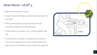 Neurodynamics | PPTX