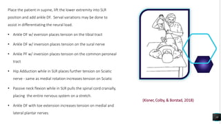 Neurodynamics | PPTX