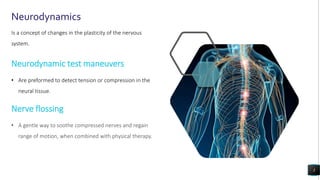 Neurodynamics | PPTX