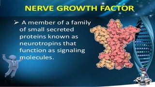 Nerve Growth Factor | PDF