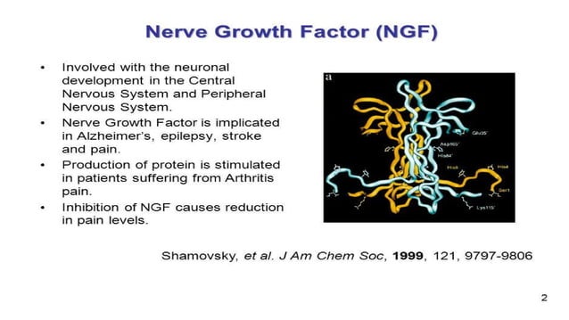Nerve Growth Factor | PDF