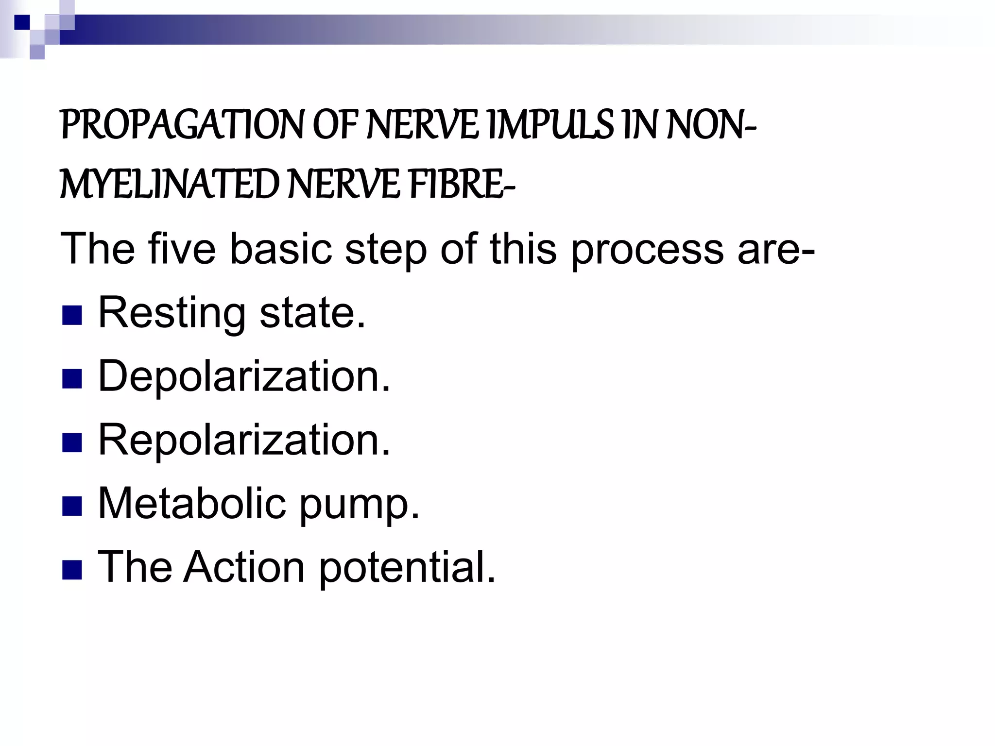 Nerve impulse | PPT