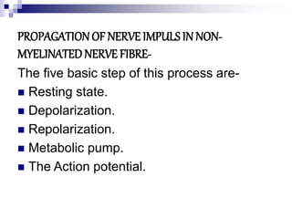 Nerve impulse | PPT
