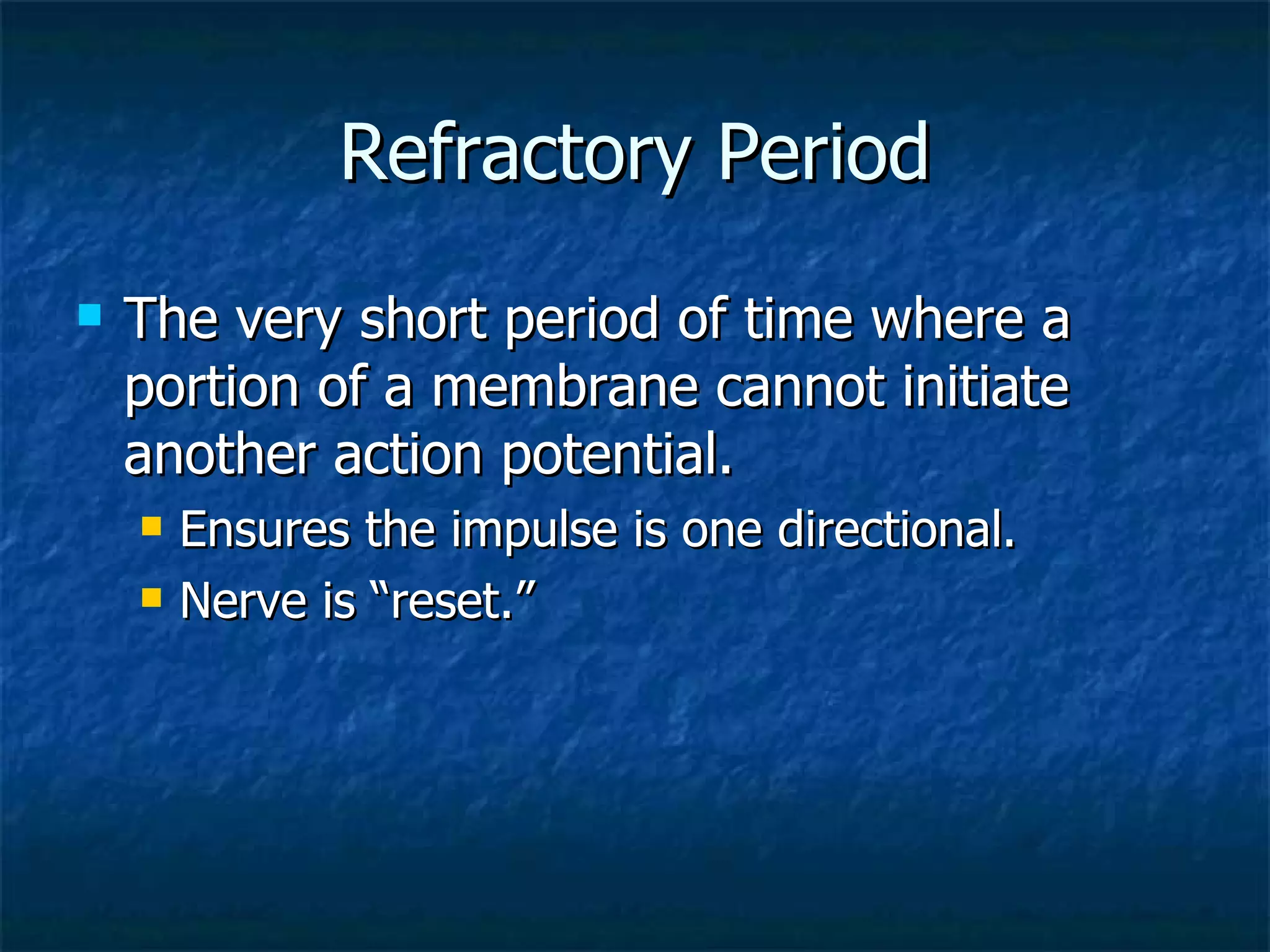 Nerve impulse 2012 | PPT