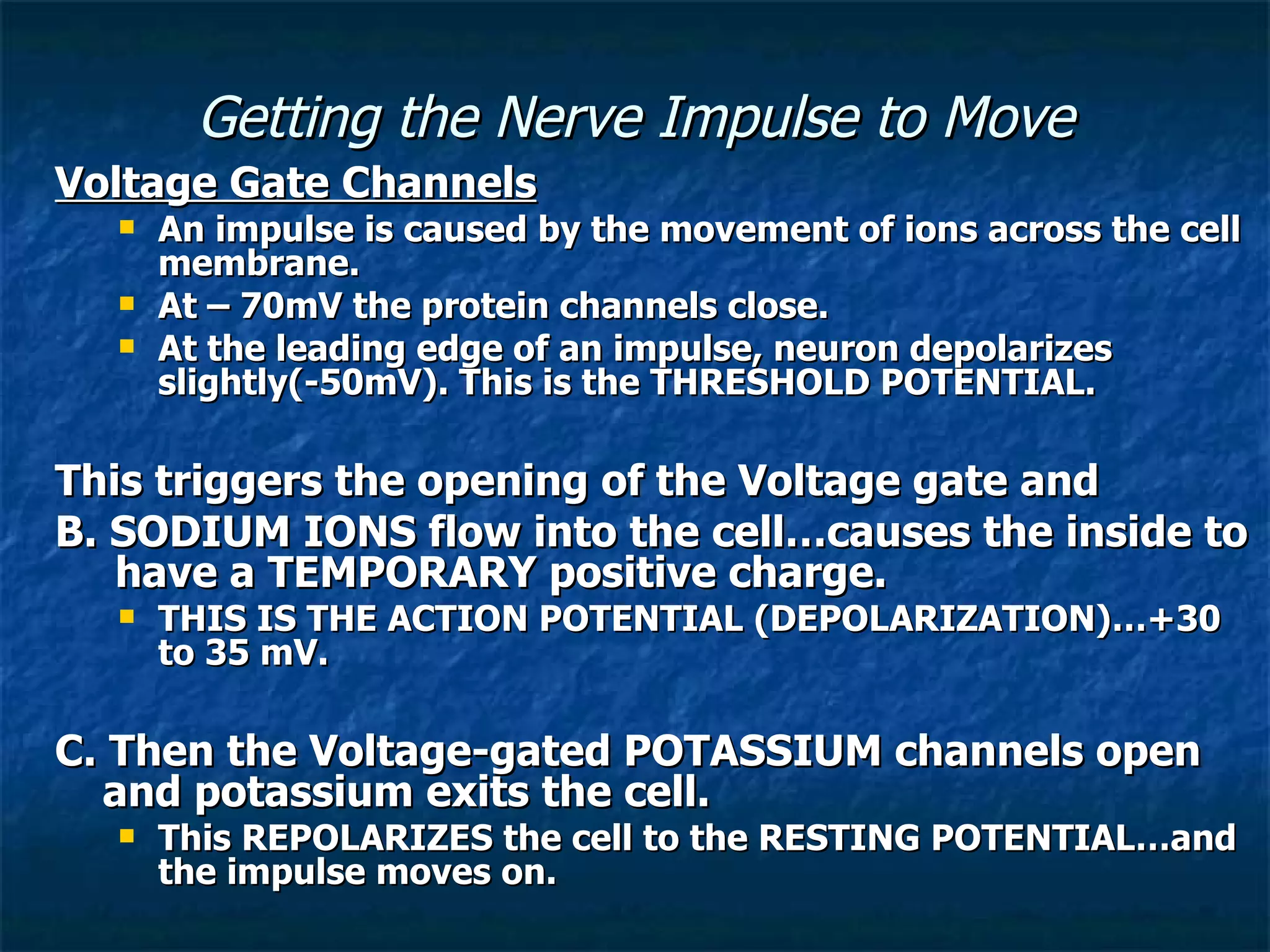 Nerve impulse 2012 | PPT