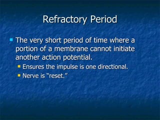 Nerve impulse 2012 | PPT | Brain and Nervous System Disorders ...