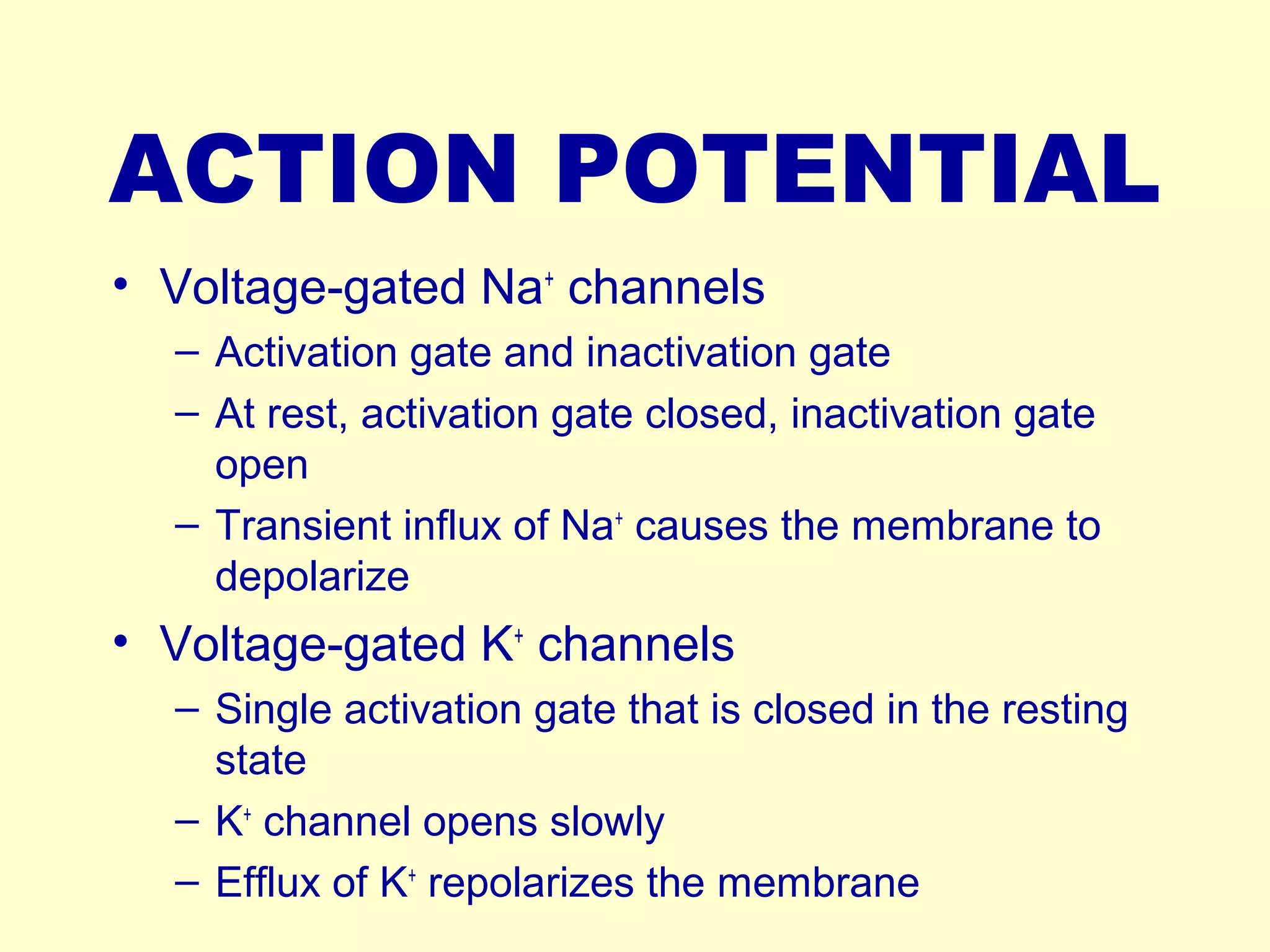 Nerve impulse conduction | PPT