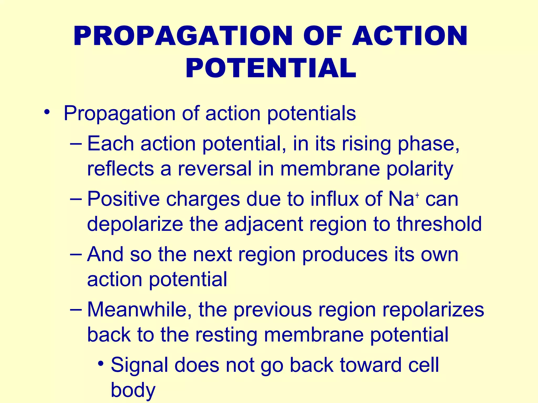 Nerve impulse conduction | PPT