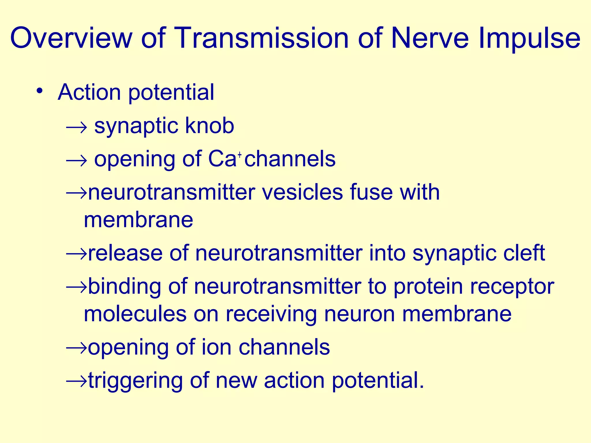 Nerve impulse conduction | PPT