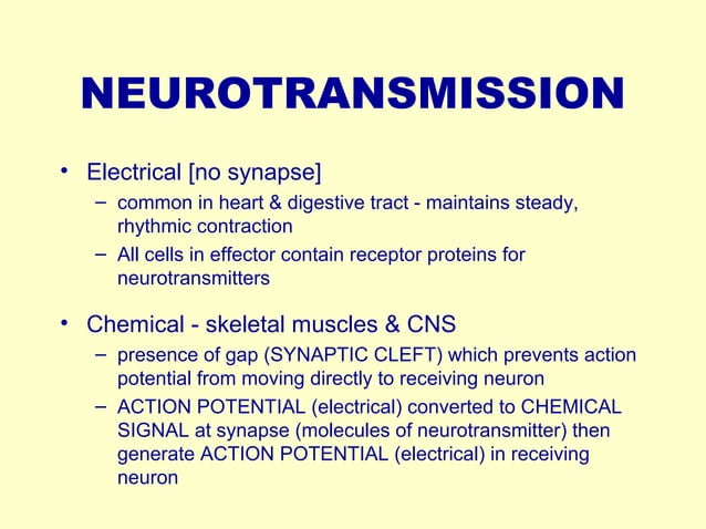 Nerve impulse conduction | PPT