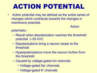Nerve impulse conduction | PPT