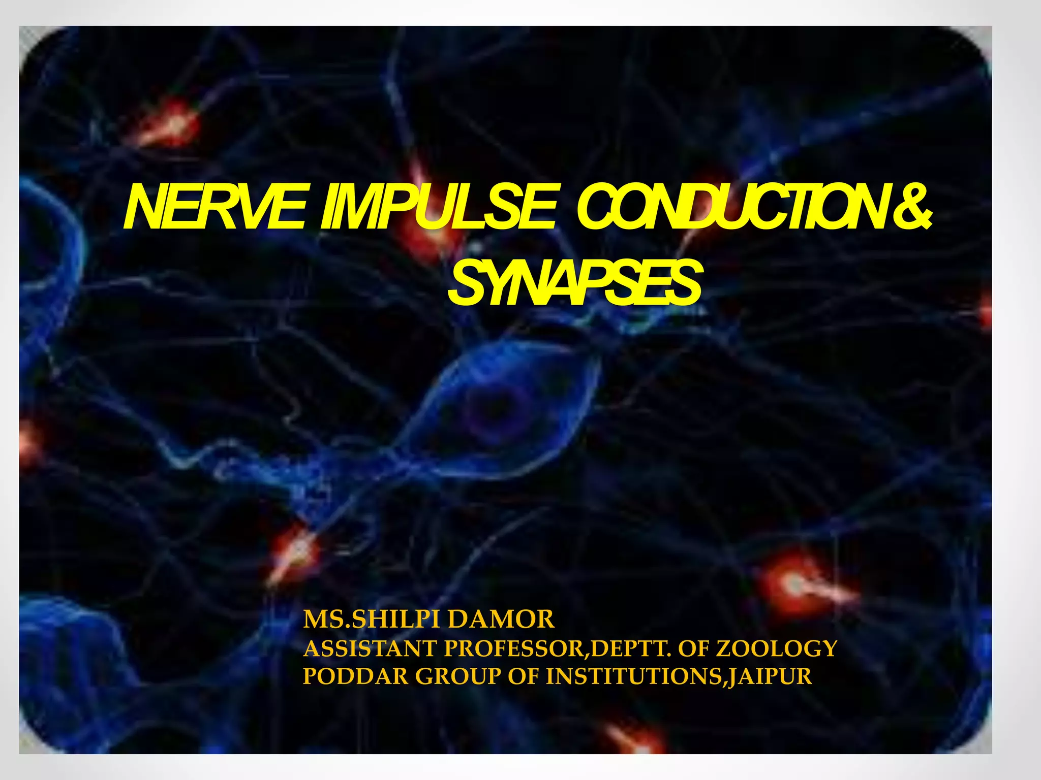 Nerve Impulse Conduction & Synapses | PPTX