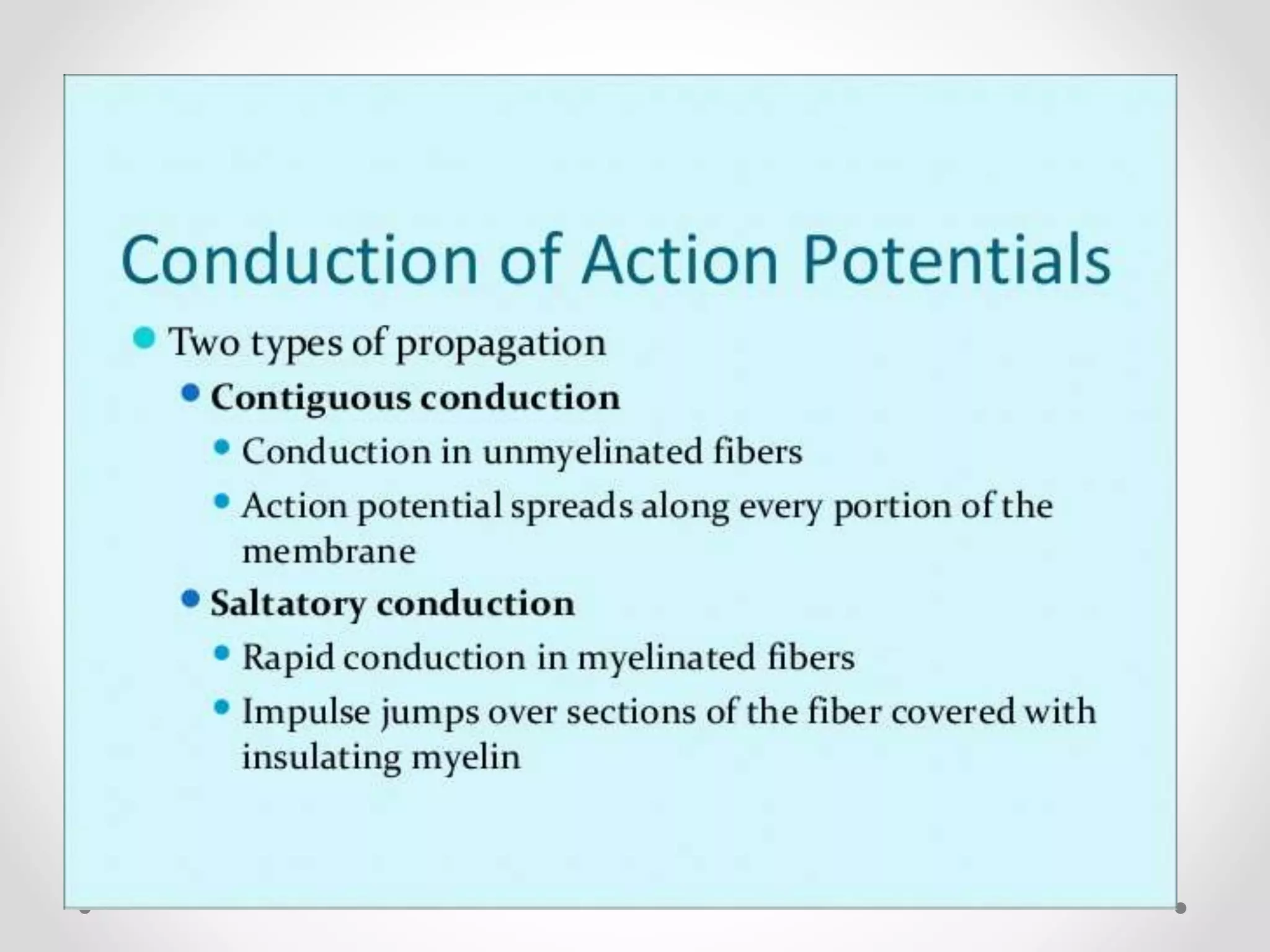 Nerve Impulse Conduction & Synapses | PPTX