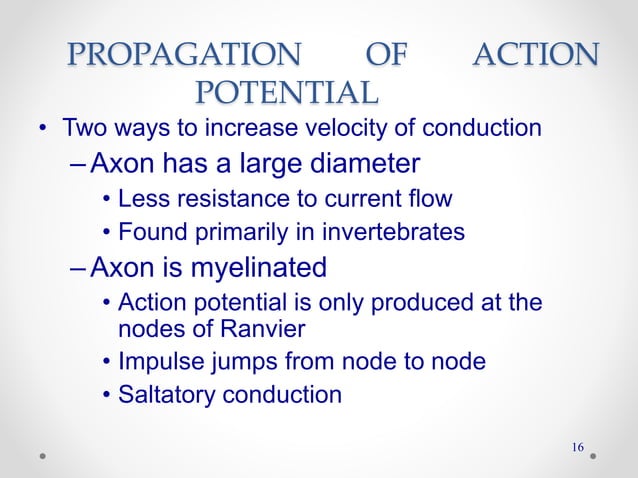 Nerve Impulse Conduction & Synapses | PPTX