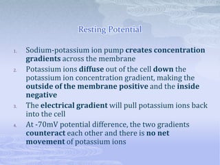 Nerve impulses | PPTX