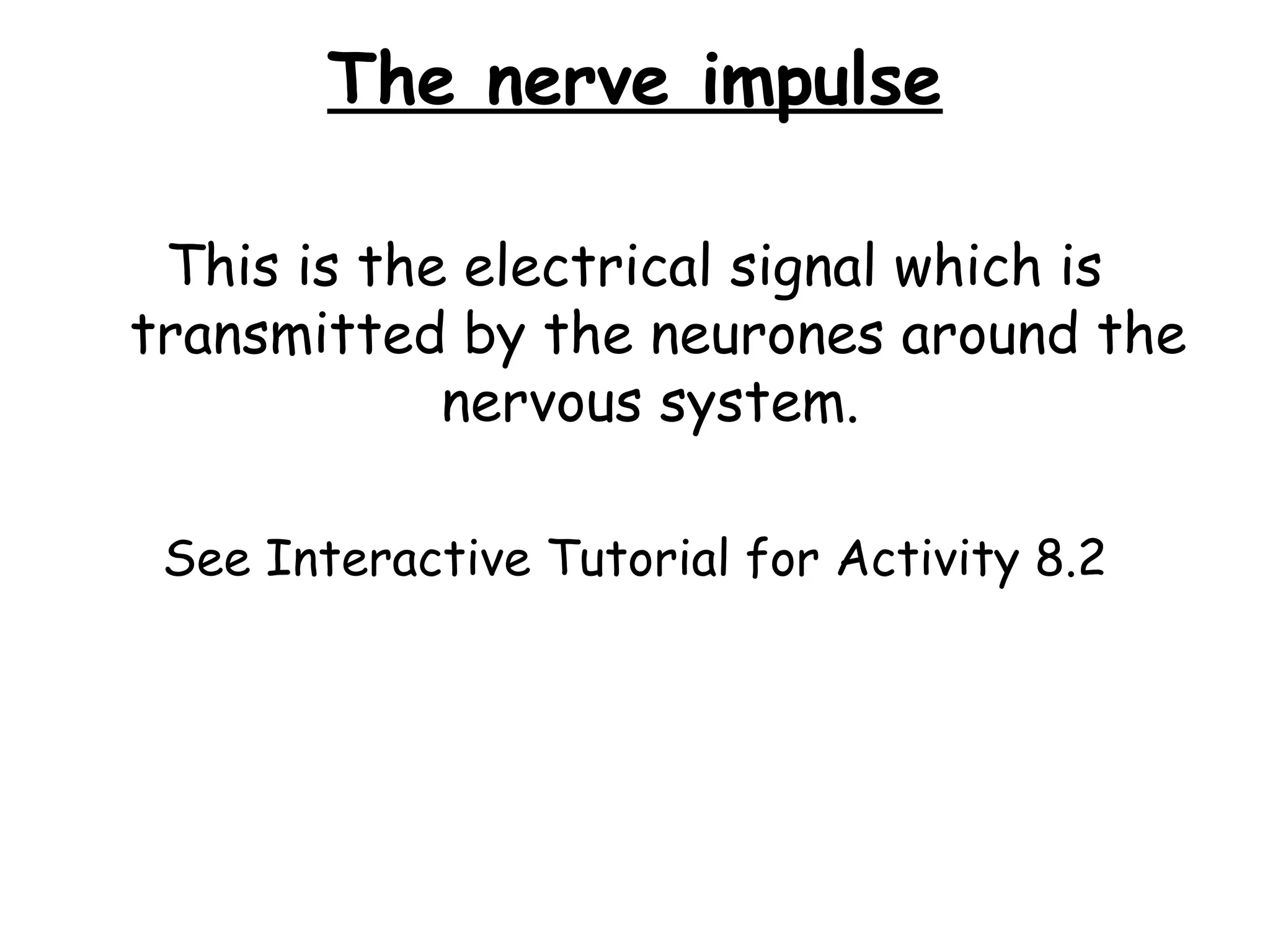 Nerve impulse synapses | PPT