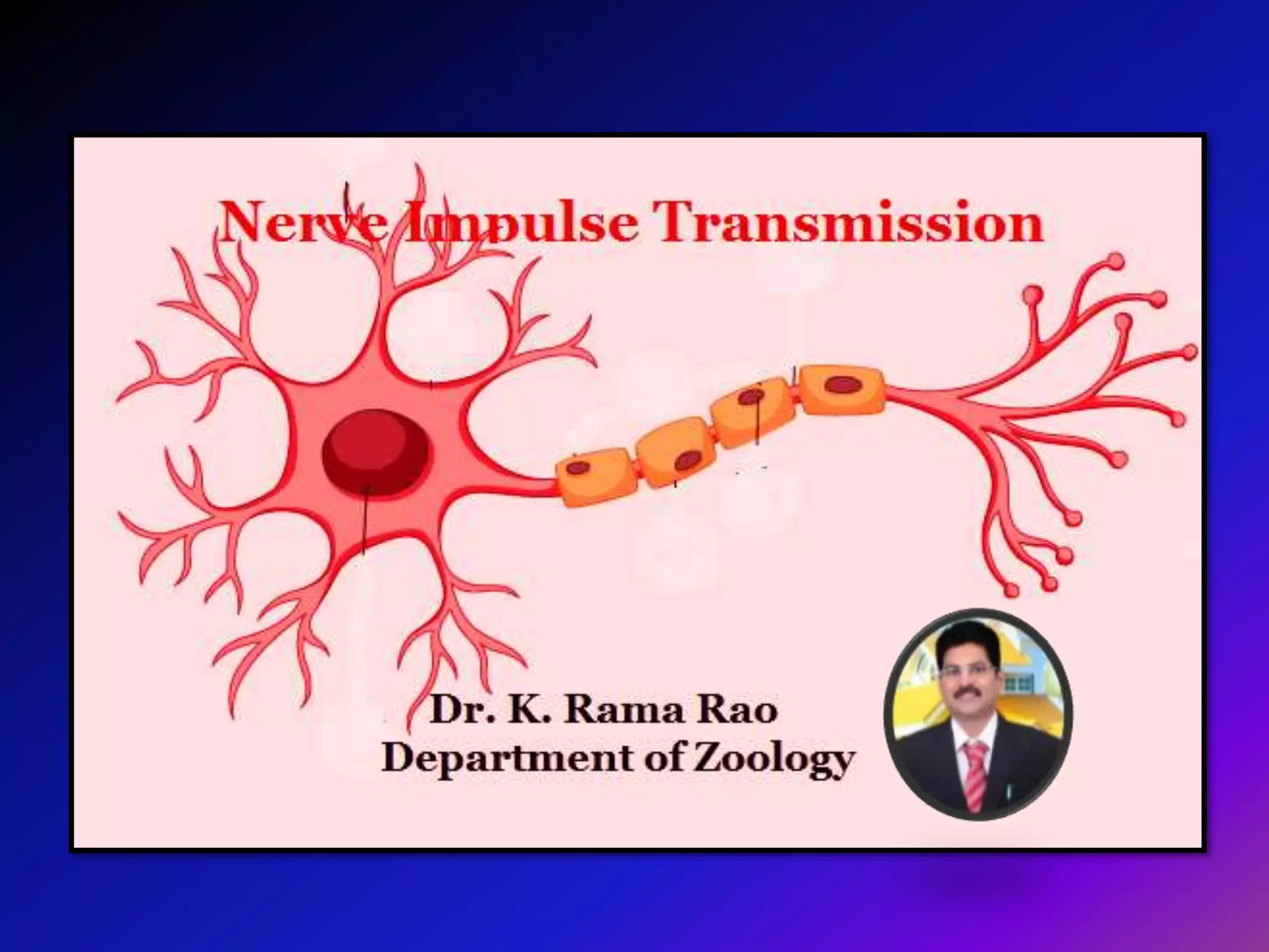 Nerve impulse transmission | PPTX