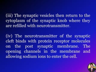 Nerve impulse transmission | PPTX