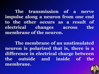 Nerve impulse transmission | PPTX