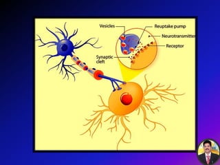 Nerve impulse transmission | PPTX