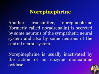 Nerve impulse transmission | PPTX