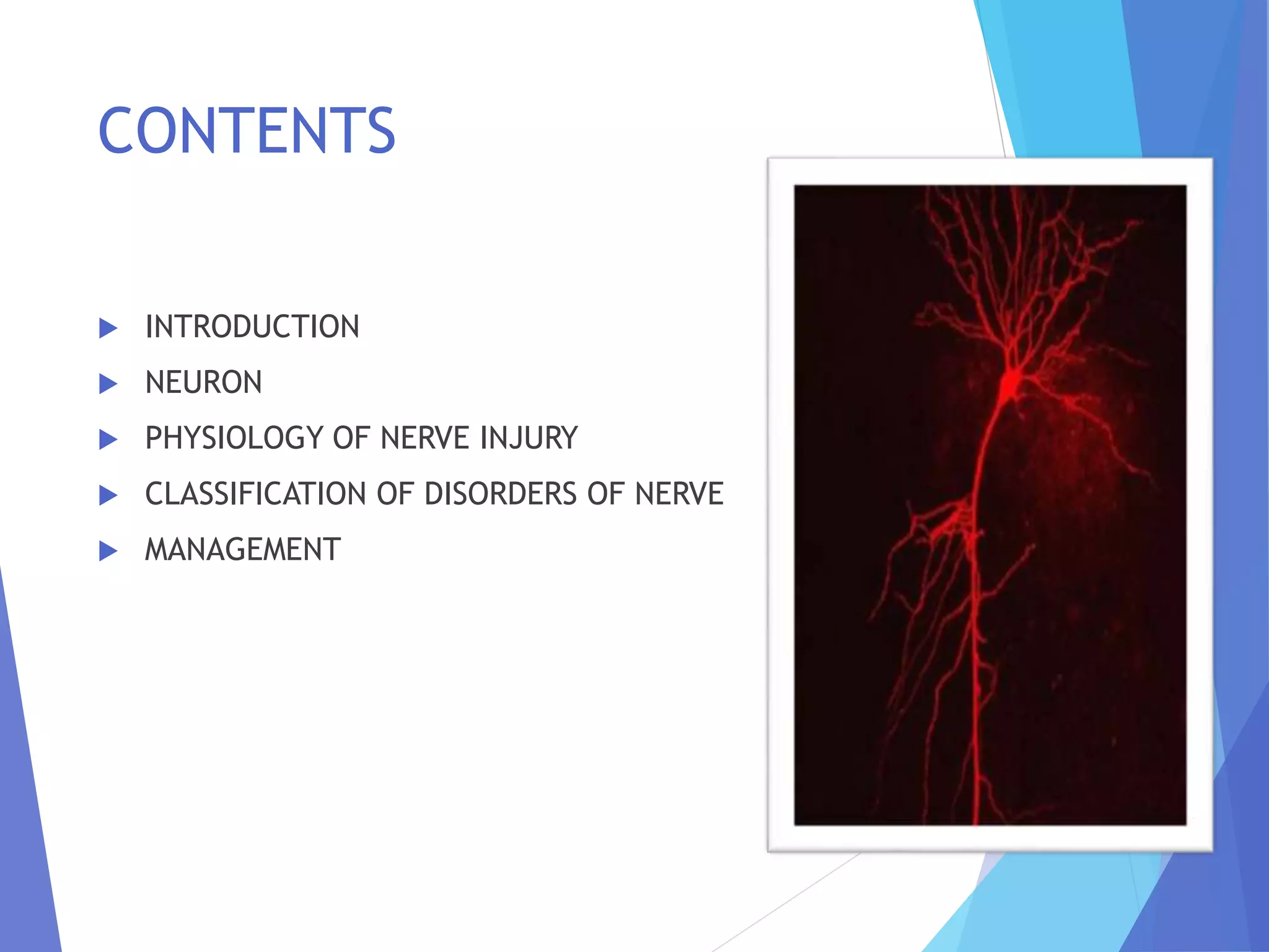 Nerve injuries.bhanu | PPTX