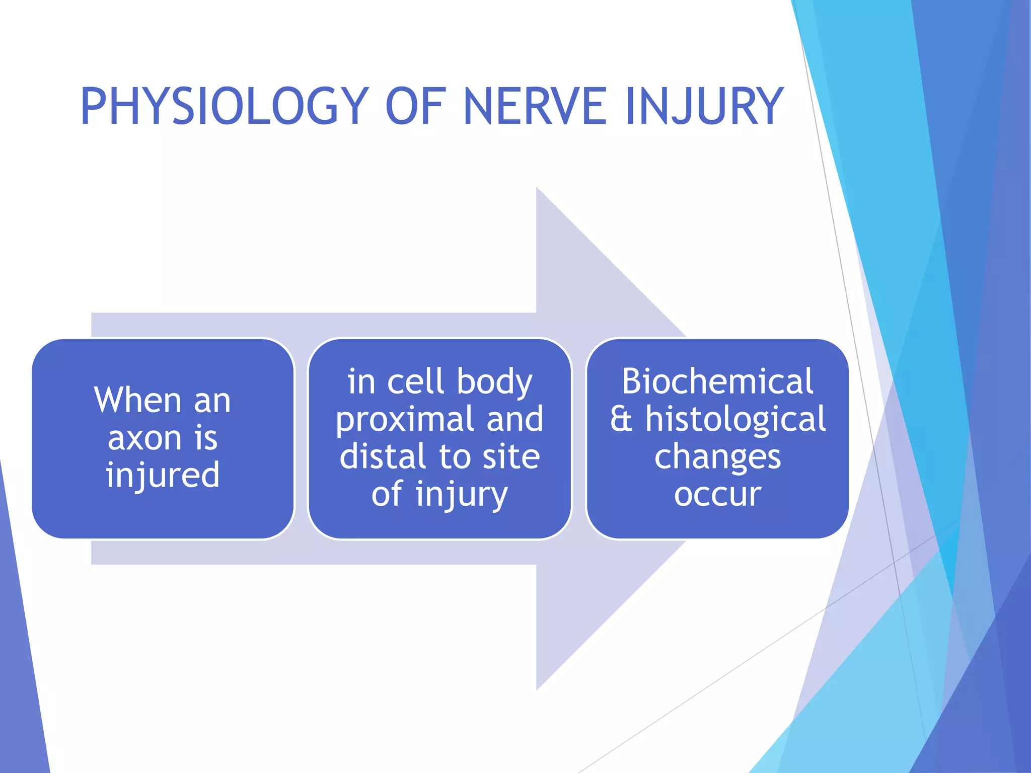 Nerve injuries.bhanu | PPTX