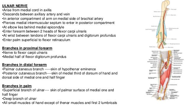 Nerve injuries of Upper Limb