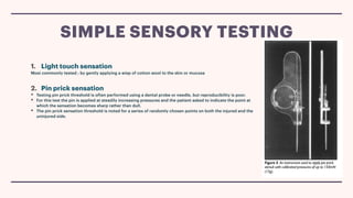 Nerve injuries | PPT