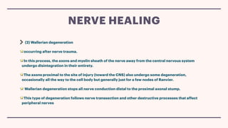 Nerve injuries | PPT