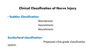 Nerve injuries | PPT
