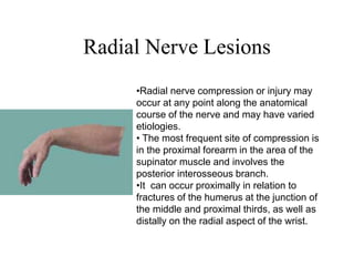 Nerve injuries prof g s patnaik | PPT