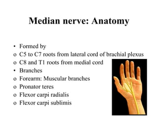 Nerve injuries prof g s patnaik | PPT
