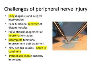 Nerve injuries update | PPT