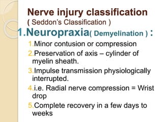 Nerve injury | PPTX