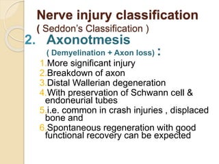 Nerve injury | PPTX