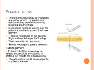 nerve injury kjNOCNIUABCIUBIWEUBIUBUKWBIUBIW | PPT