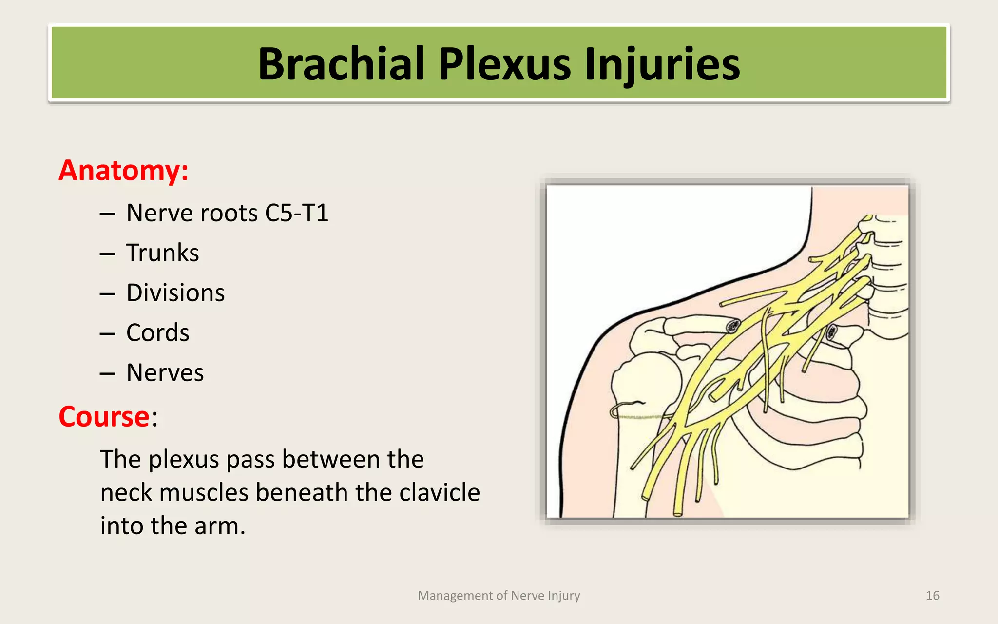 Management of Nerve Injury | PPTX