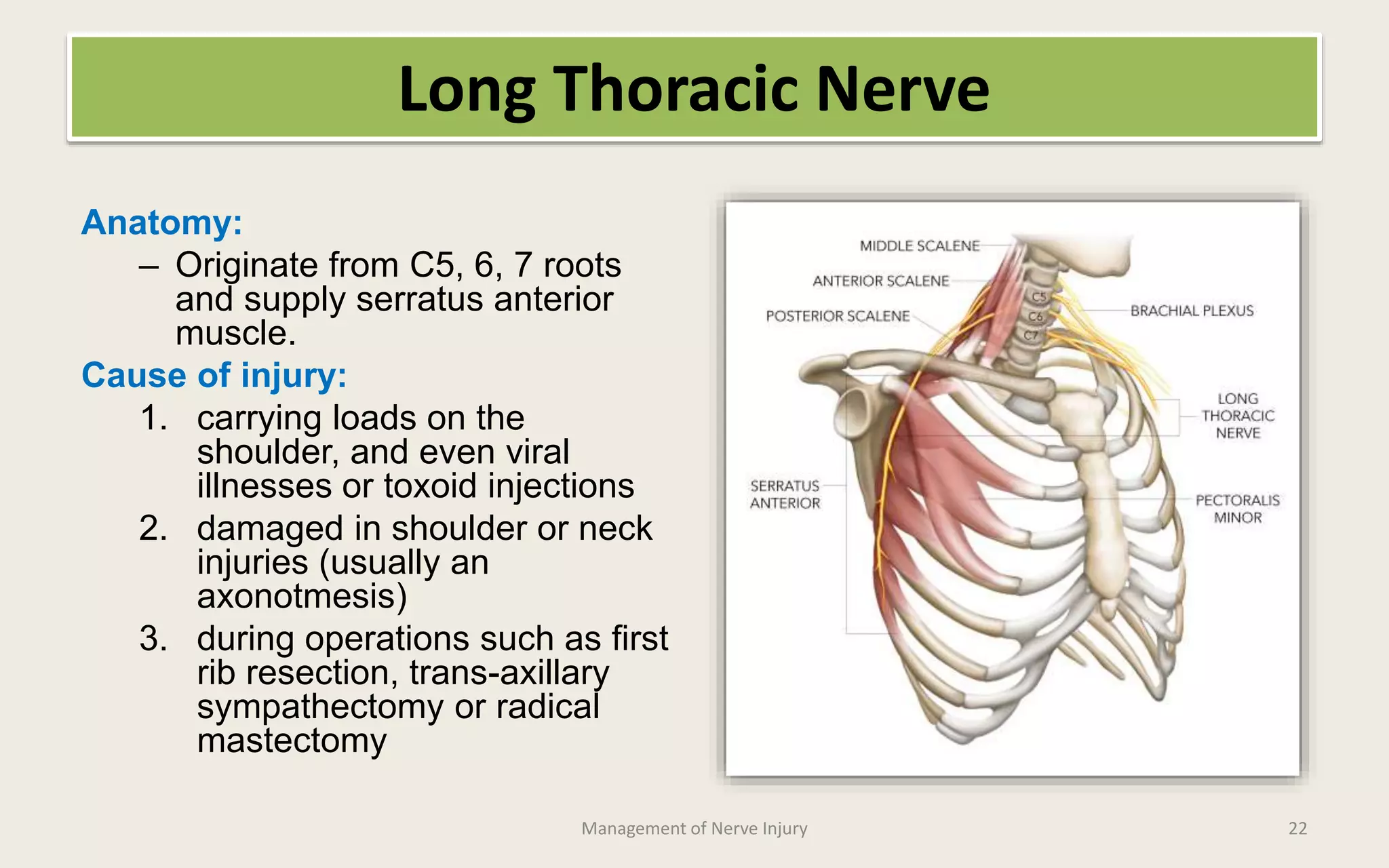 Management of Nerve Injury | PPTX