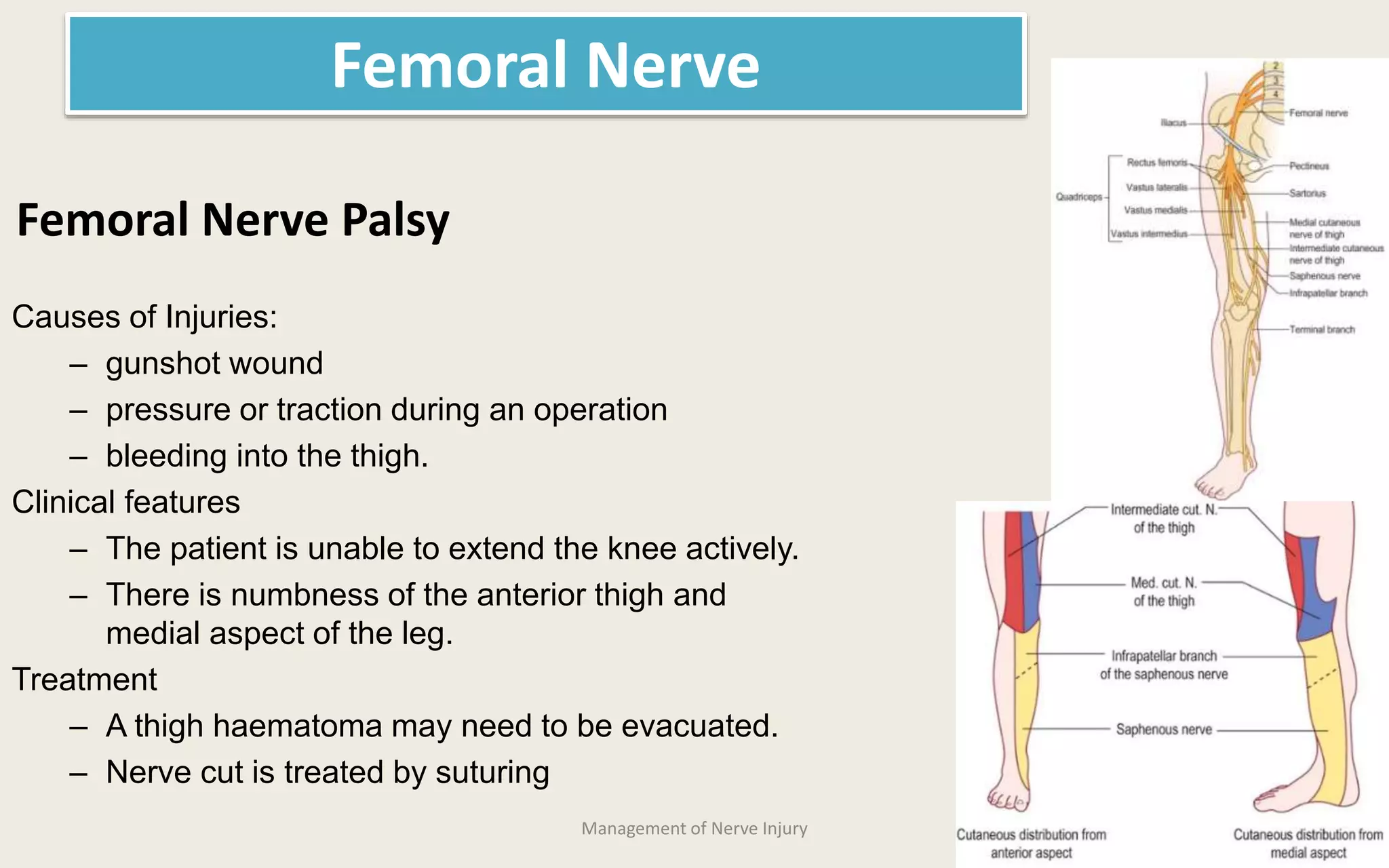 Management of Nerve Injury | PPTX