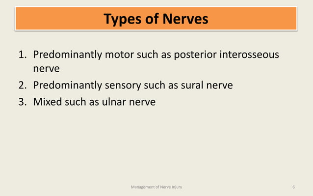 Management of Nerve Injury | PPTX