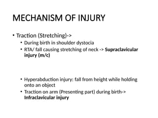 NERVE INJURY-WPS Office. Sciatic nerve and common Peroneal nerve | PPTX