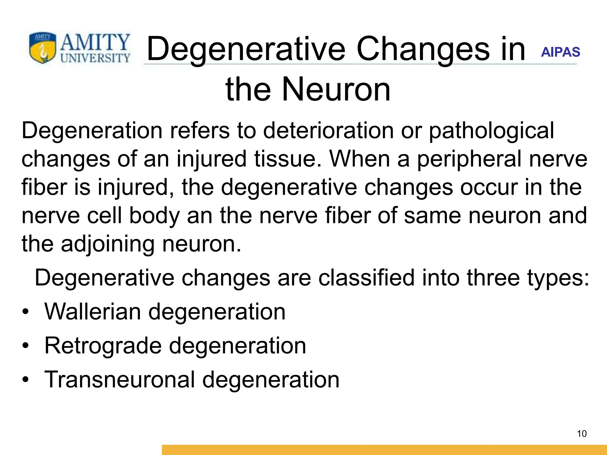 Nerve injury (1).ppt nerve neurophysiology | PPT